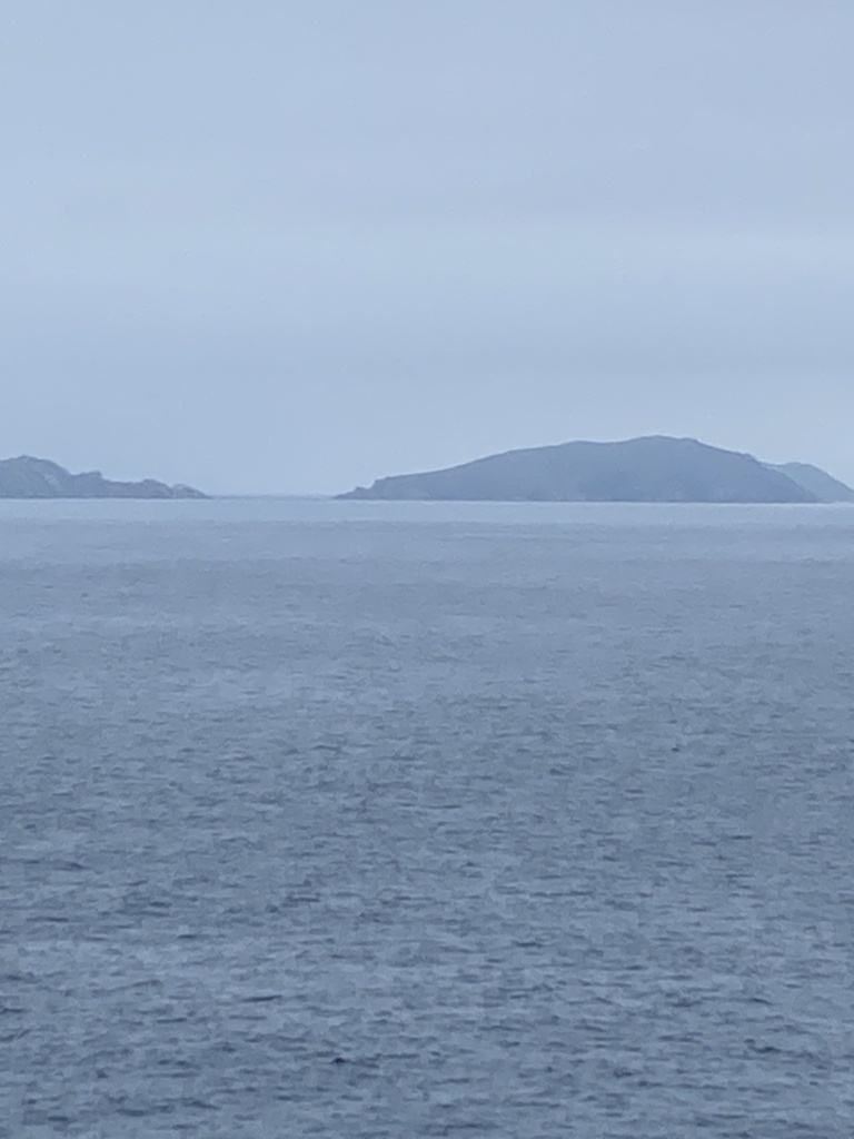 Humpback Whale from South Pacific Ocean, Wilsons Promontory, VIC, AU on ...