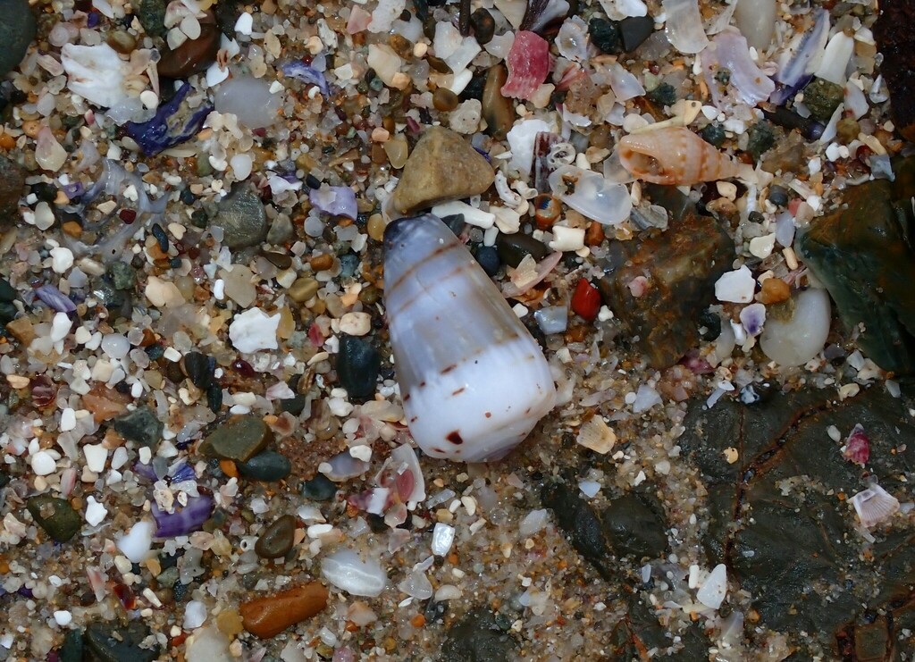Music Cone from Arrawarra NSW 2456, Australia on November 21, 2023 at ...