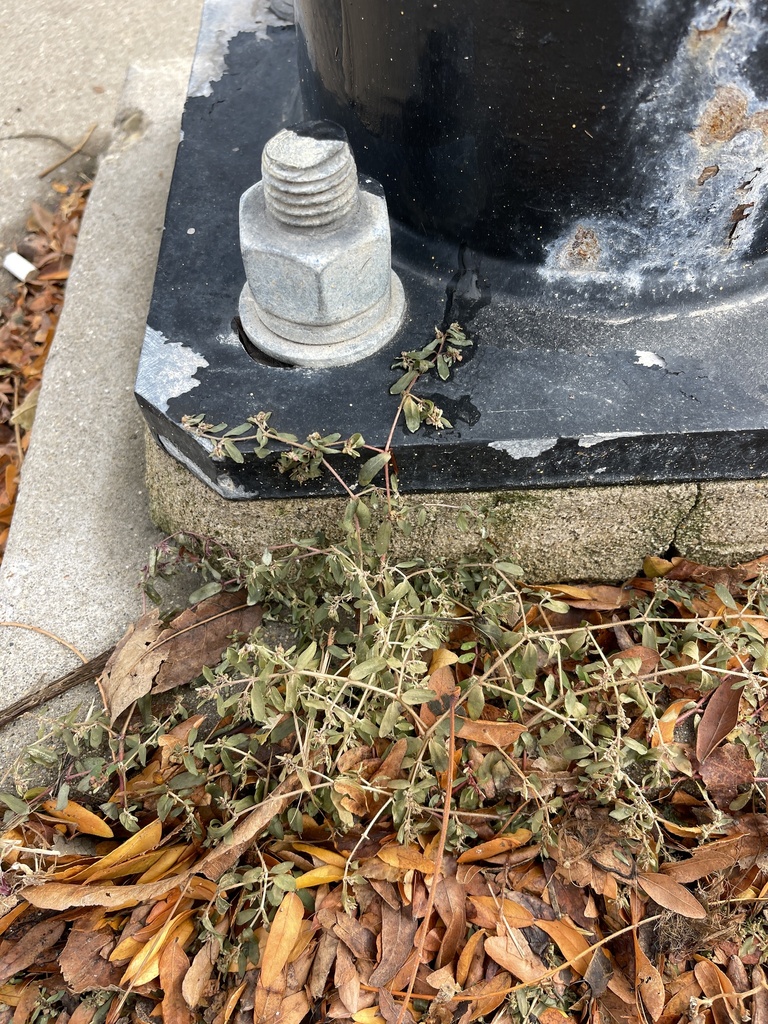 sandmats from Cantwell Ct, Madison, WI, US on November 21, 2023 at 12: ...