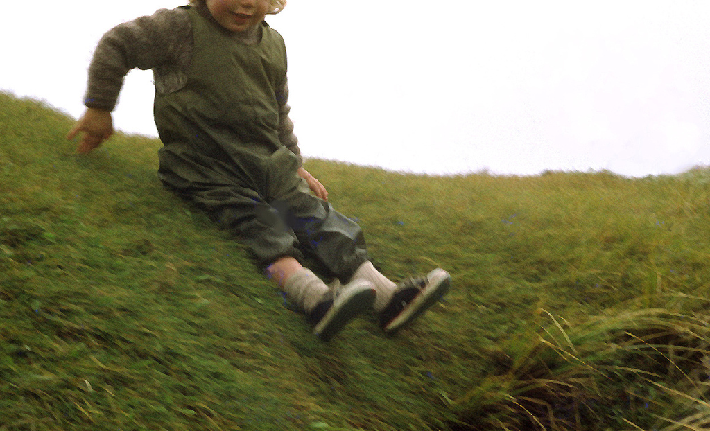 Carpet Grass from Lucretia Ridge, Lewis Pass, Canterbury, New Zealand ...