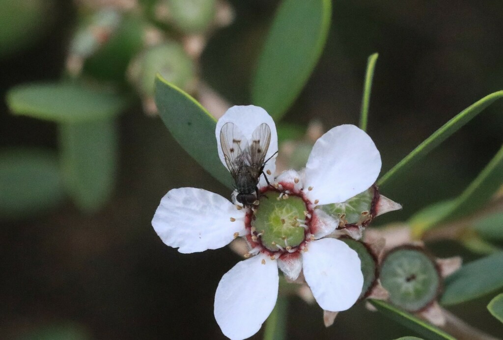 Helina from Central Coast NSW, Australia on October 11, 2023 at 09:05 ...