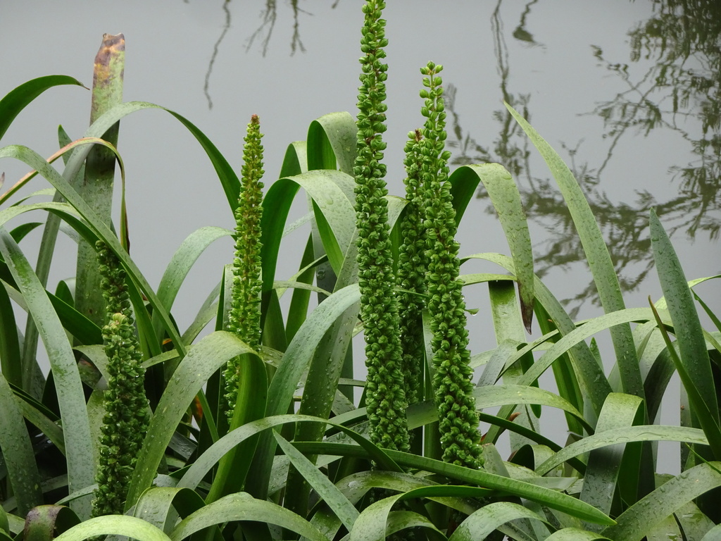 Water Ribbons from Ballarat VIC, Australia on November 26, 2023 at 12: ...