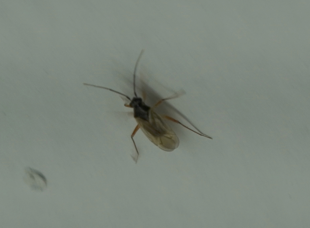 Tytthus from Hiranandani Gardens, Powai, Mumbai, Maharashtra 400076 ...