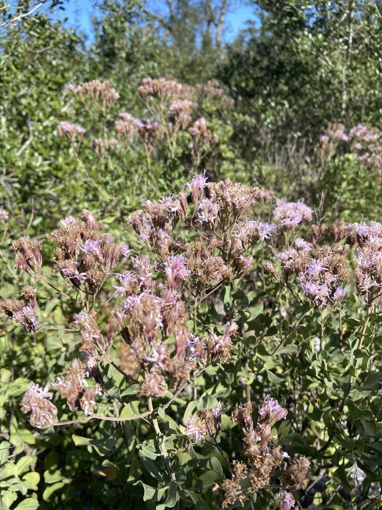 garberia from Orlando, FL, US on November 29, 2023 at 11:21 AM by ari ...