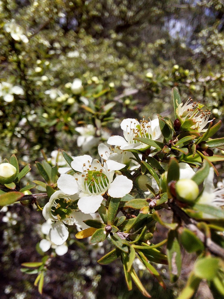 Tantoon from Brisbane QLD, Australia on December 3, 2023 at 10:17 AM by ...