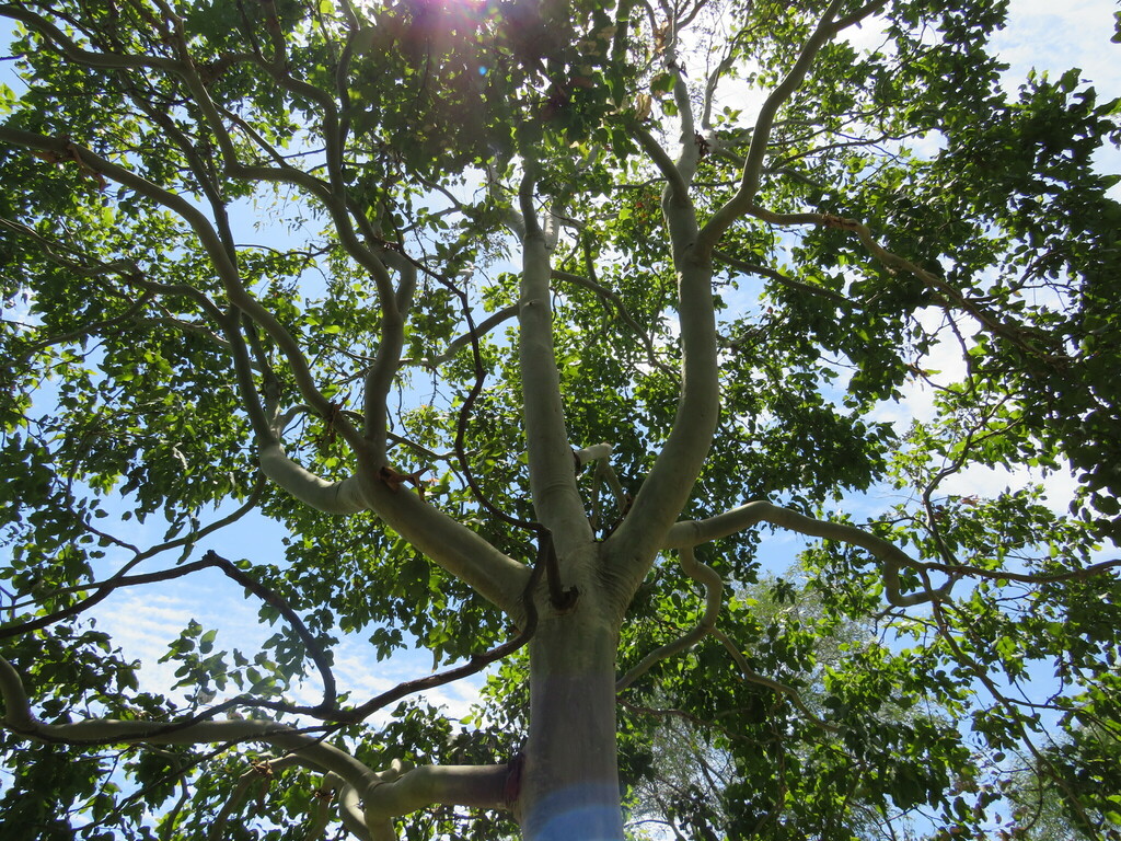 cadaghi from Brisbane QLD, Australia on December 14, 2023 at 11:16 AM ...