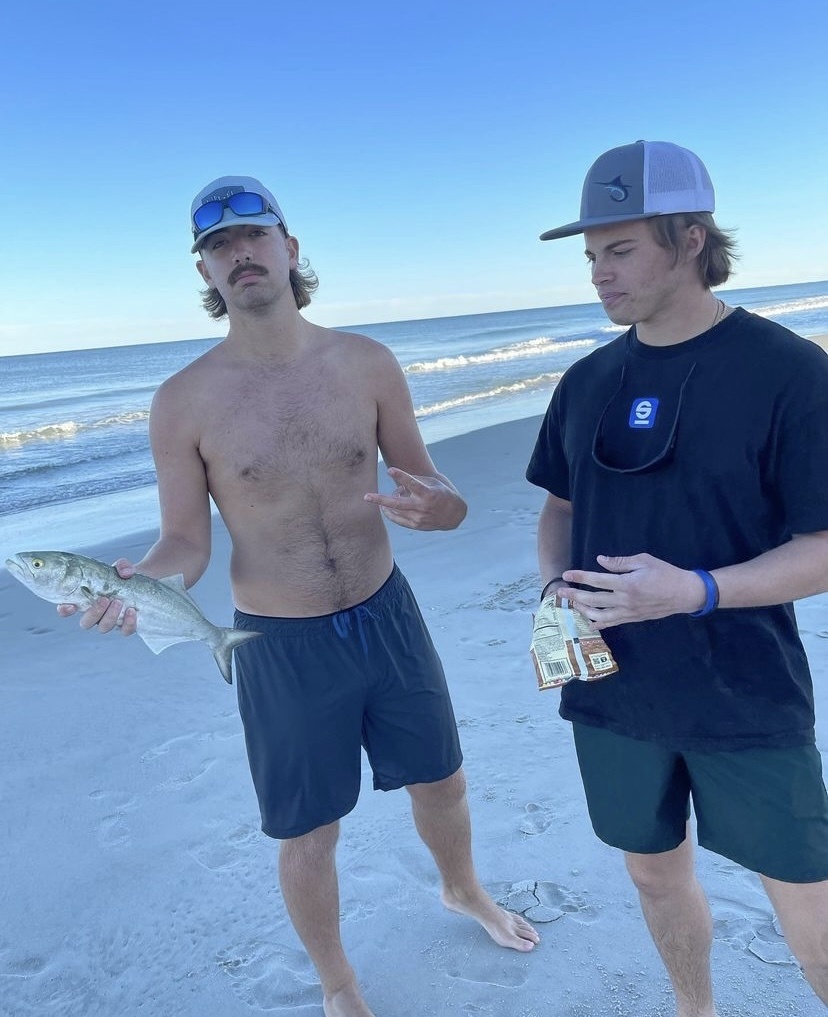 Bluefish from North Atlantic Ocean, SC, US on December 15, 2023 at 08: ...