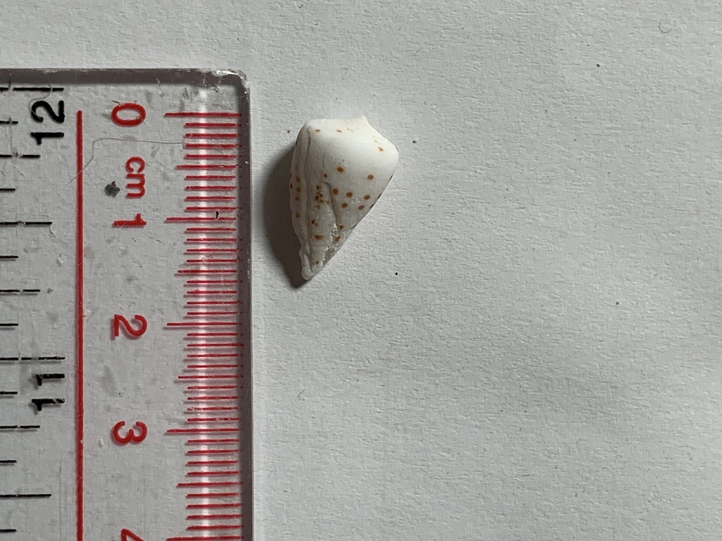 Ivory Cone from Kamara Bay, TH on December 16, 2014 at 06:39 PM by ...