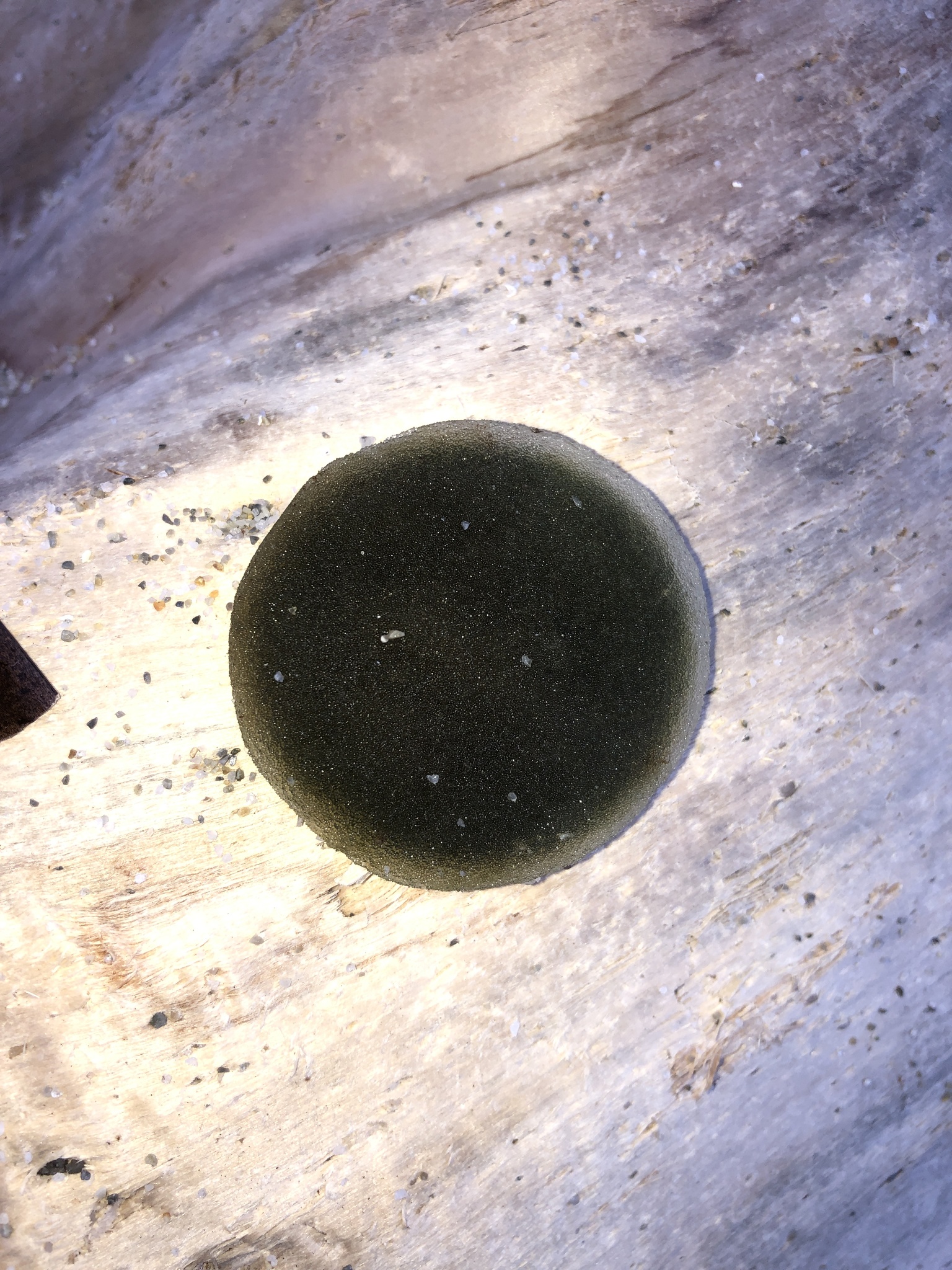 SCP-9676 - SCP Foundation