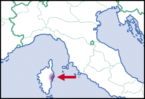 Oxychilus amblyopus · iNaturalist