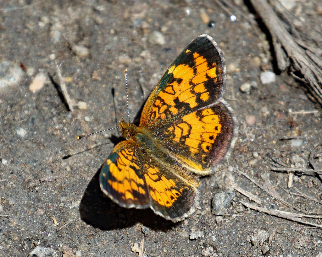 Northern Crescent from Pearl Lake State Park Routt County, CO, USA on ...