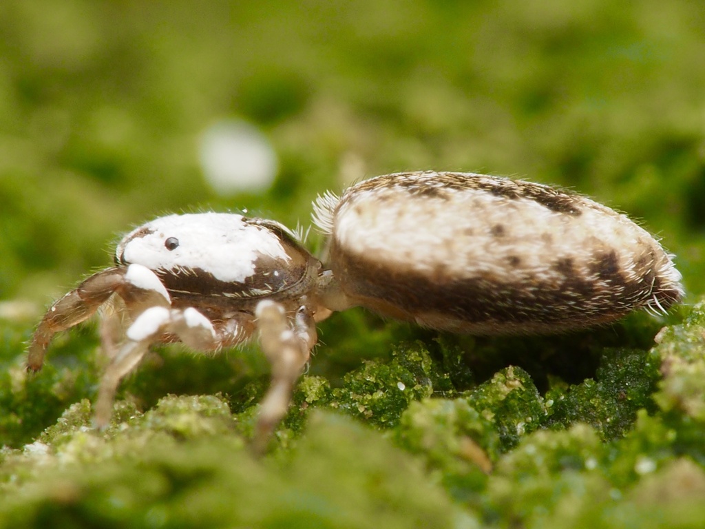 Life from North Island, Kaeo, Northland, NZ on December 27, 2023 at 12: ...