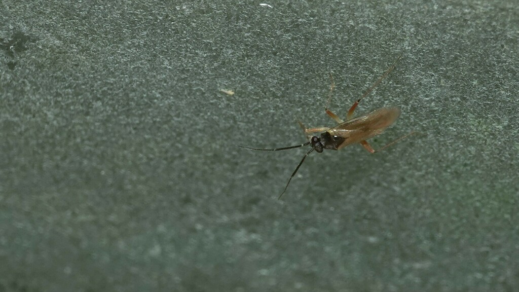 Tytthus from CM Varca on December 13, 2023 at 09:05 PM by Dinesh Sharma ...