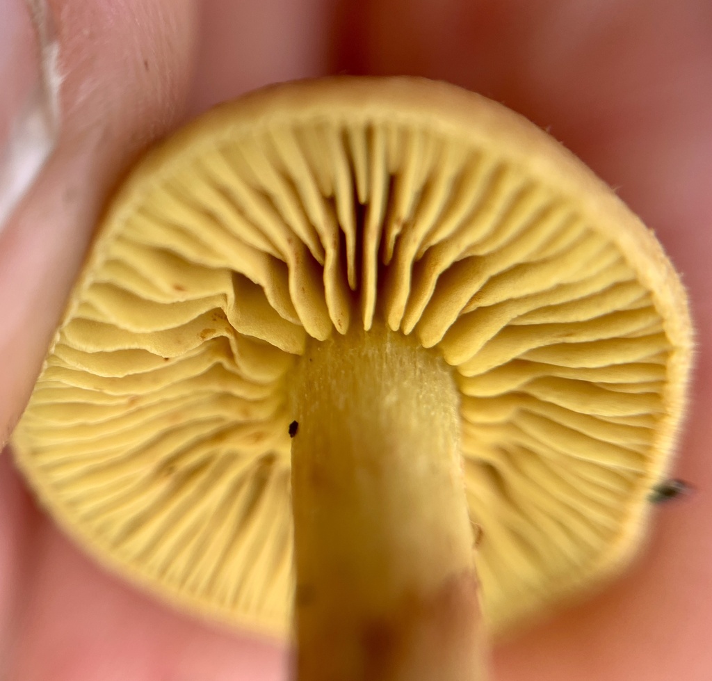 Webcaps from Sterling Hwy, Sterling, AK, US on August 3, 2023 at 12:40 ...