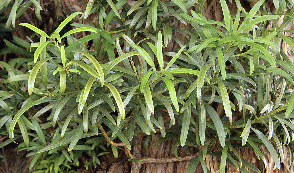 Tawari from Palatka, FL 32177, USA on December 24, 2023 at 01:25 PM by ...