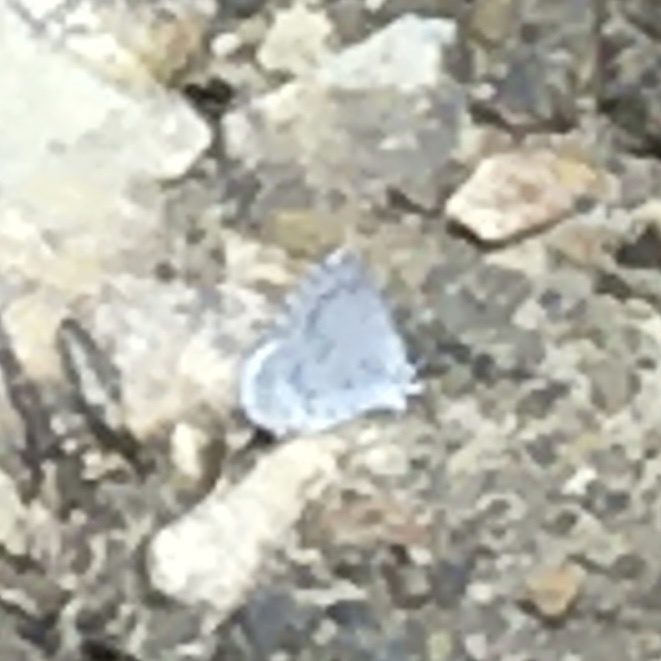 Spring Azure from Point Breeze, Pittsburgh, PA, US on April 4, 2020 at ...