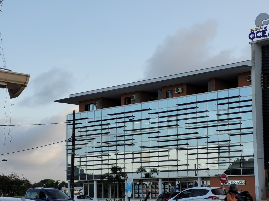 Blue-and-yellow Macaw from Cayenne 97300, Guyane française on December ...