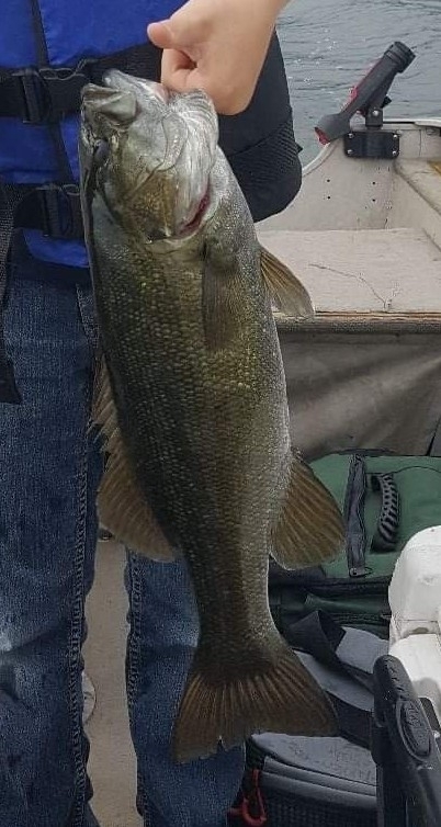 Smallmouth Bass from Pontiac Lake on May 24, 2020 by qfc79. Re-uploaded ...
