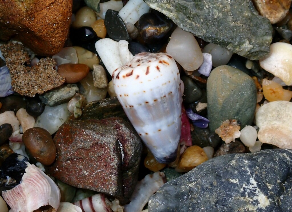 Music Cone from Sandy Beach NSW 2456, Australia on January 14, 2024 by ...
