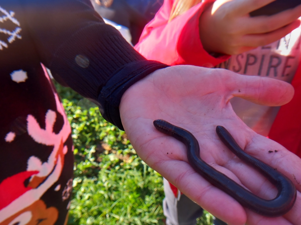 Life from Dragona, Roma RM, Italia on December 19, 2023 at 11:13 AM by ...