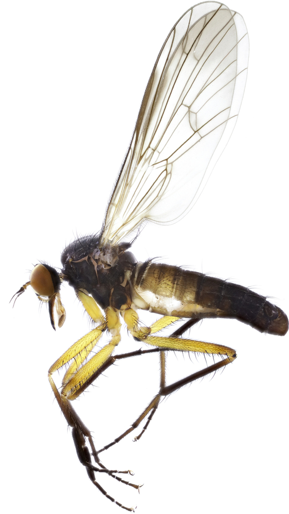 Balloon Flies from 中国吉林省延边朝鲜族自治州珲春市 on June 30, 2023 by Yishen ...