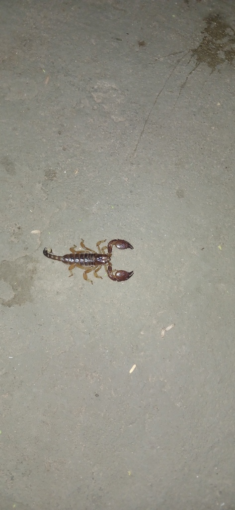 Iurida from HHCC+QR, Umoja, Kenya on January 19, 2024 at 09:59 PM by ...