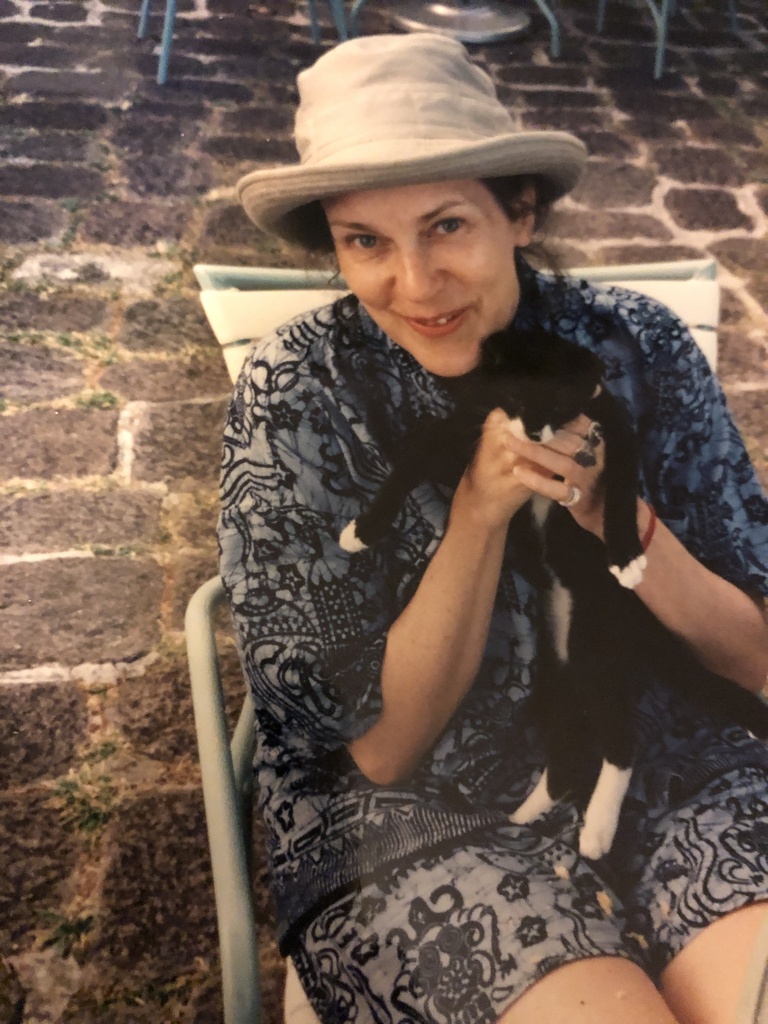 Domestic Cat from Golden Rock, Nevis, St. Kitts and Nevis on April 19 ...