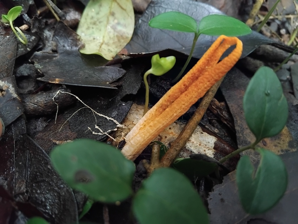 stinky squid from Sydney NSW, Australia on January 17, 2024 at 02:04 PM ...