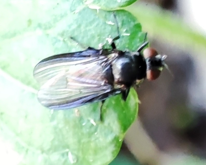 Flies from Rumipamba, Ecuador on January 26, 2024 at 12:46 PM by Daniel ...