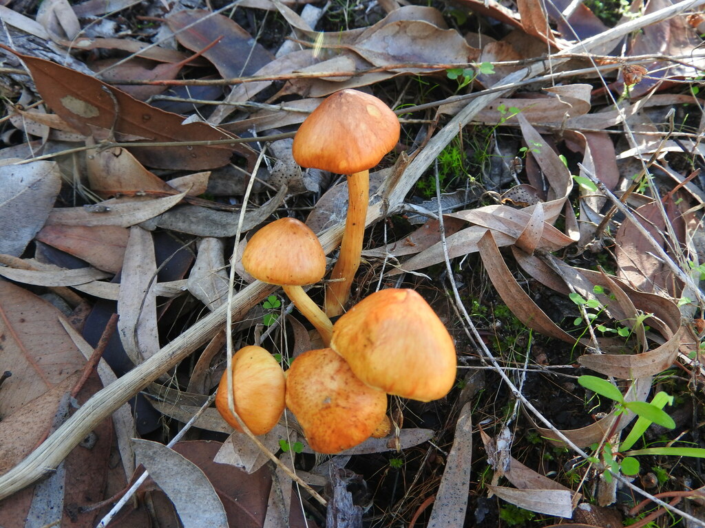 Webcaps from Preston Beach WA 6215, Australia on July 13, 2019 at 11:09 ...