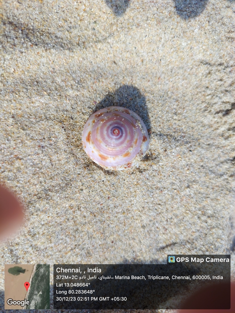smooth sundial from 372M+2C تشيناي، تاميل نادو،، Marina Beach ...