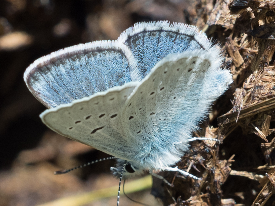 Greenish Blue from Wind Ridge Trail, Canmore, AB T0L 2C0, Canada on ...