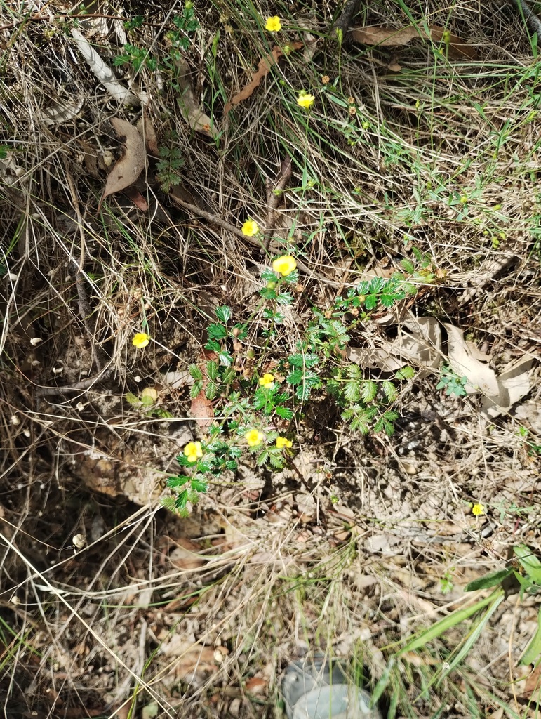 Bidibid from Melbourne VIC, Australia on February 1, 2024 at 11:40 AM ...