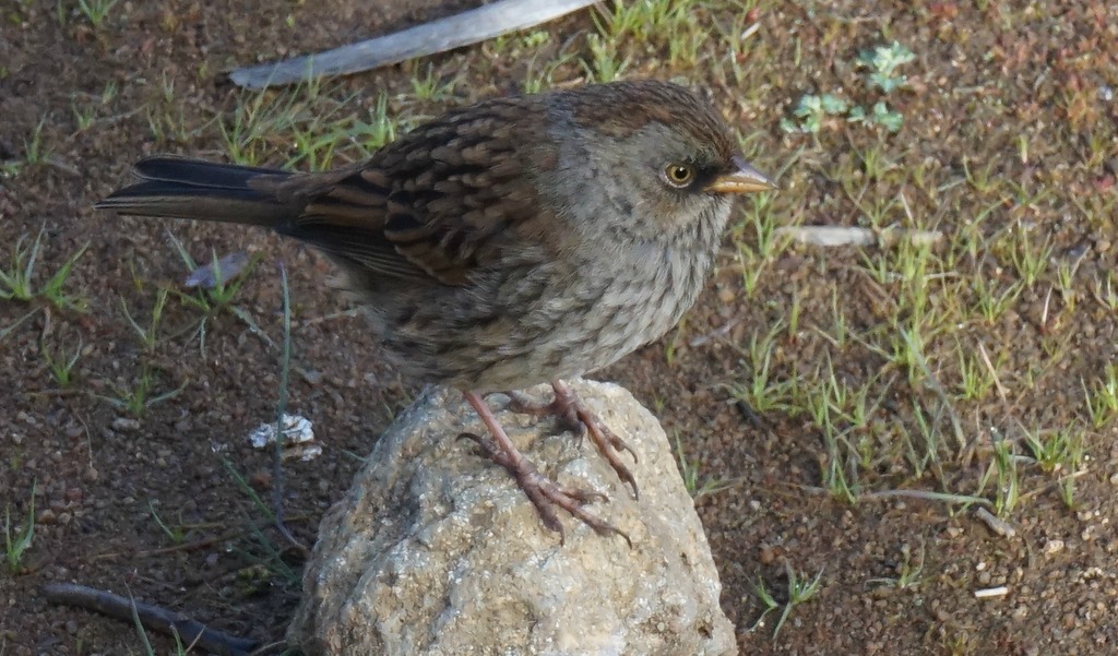 Volcano Junco from San José, Rivas, Costa Rica on July 5, 2017 at 06:54 ...