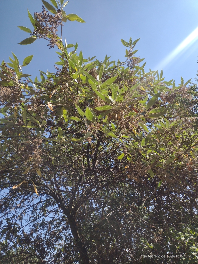 tepozan from HH6R+J2, 54480 Tlazala de Fabela, Méx., México on February ...