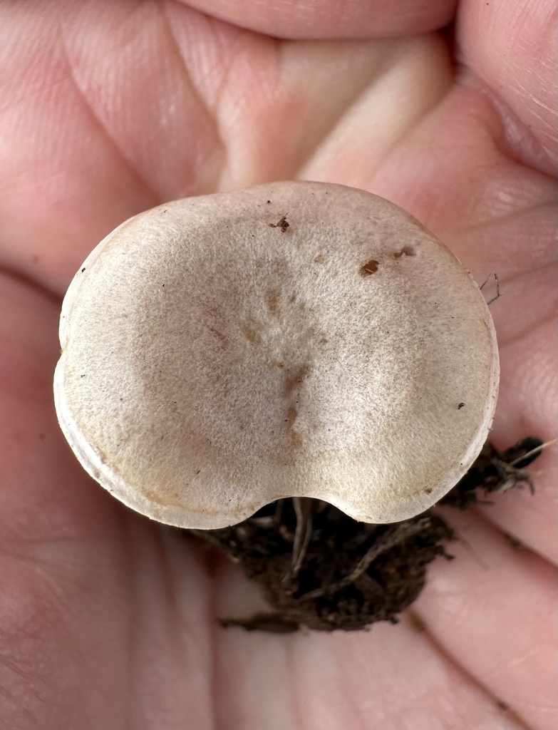 Fool's Funnel from Mission Trails Regional Park, San Diego, CA, US on ...