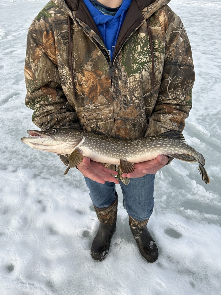 Northern Pike from Garrett County, MD, USA on January 23, 2024 at 04:43 ...