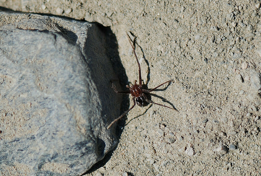 Thanatus from Kamara 854 00, Griechenland on June 11, 2011 at 02:18 PM ...