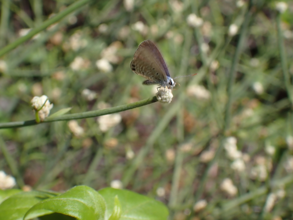 Ramon Blue from Puerto Ayora, Ecuador on February 14, 2024 at 11:38 AM ...