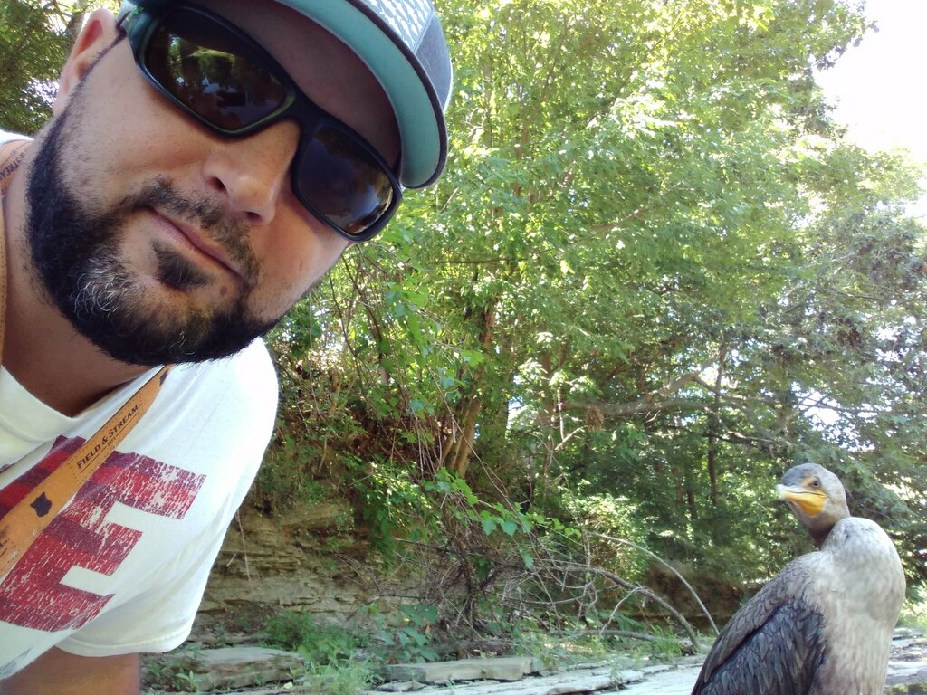 Double-crested Cormorant from Erie County, PA, USA on August 7, 2020 at ...