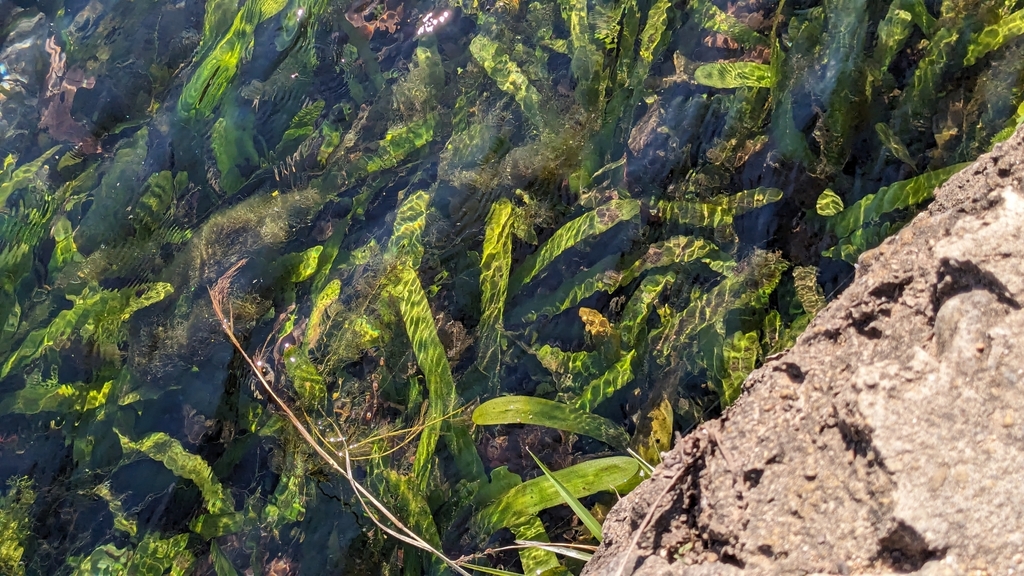 Delta Arrowhead from San Marcos, TX, USA on February 18, 2024 at 10:41 ...