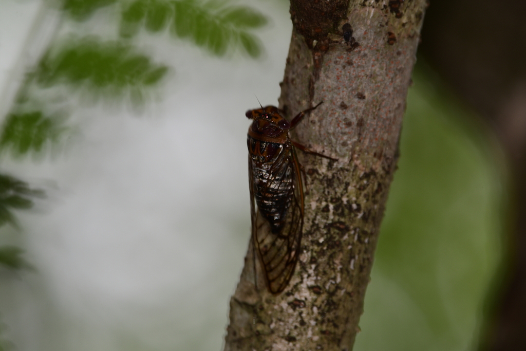 Darwin Whiner from Darwin NT, Australia on February 24, 2024 at 08:17 ...