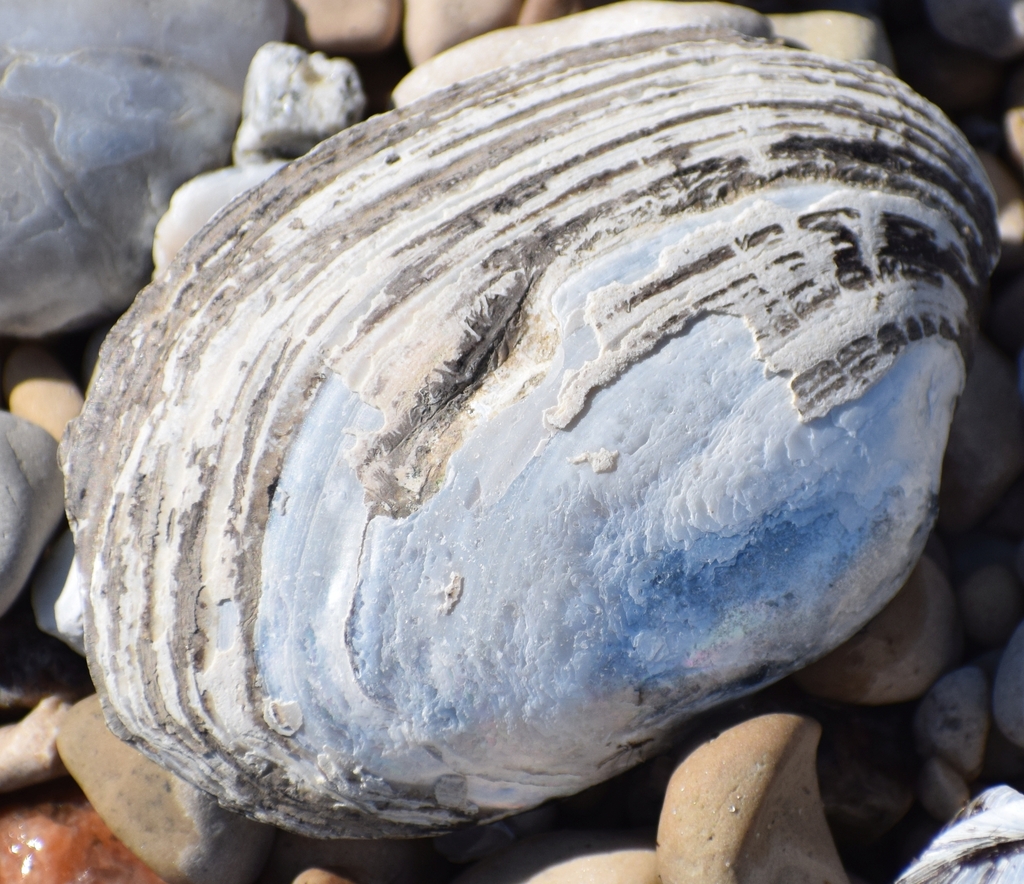 Fatmucket from Bifrost-Riverton, MB R0C, Canada on September 11, 2023 ...