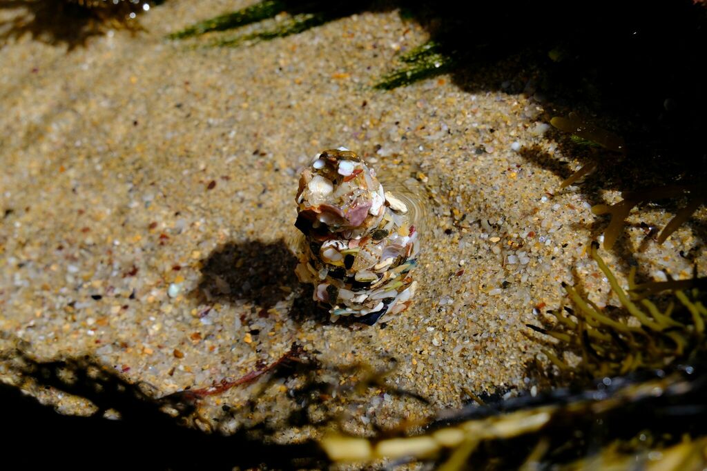 life from ERMS on March 16, 2024 at 11:13 AM by Peter Crowcroft ...