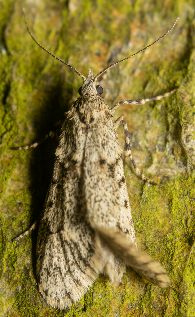 March Tubic from Telford and Wrekin, UK on March 7, 2024 at 09:47 PM by ...