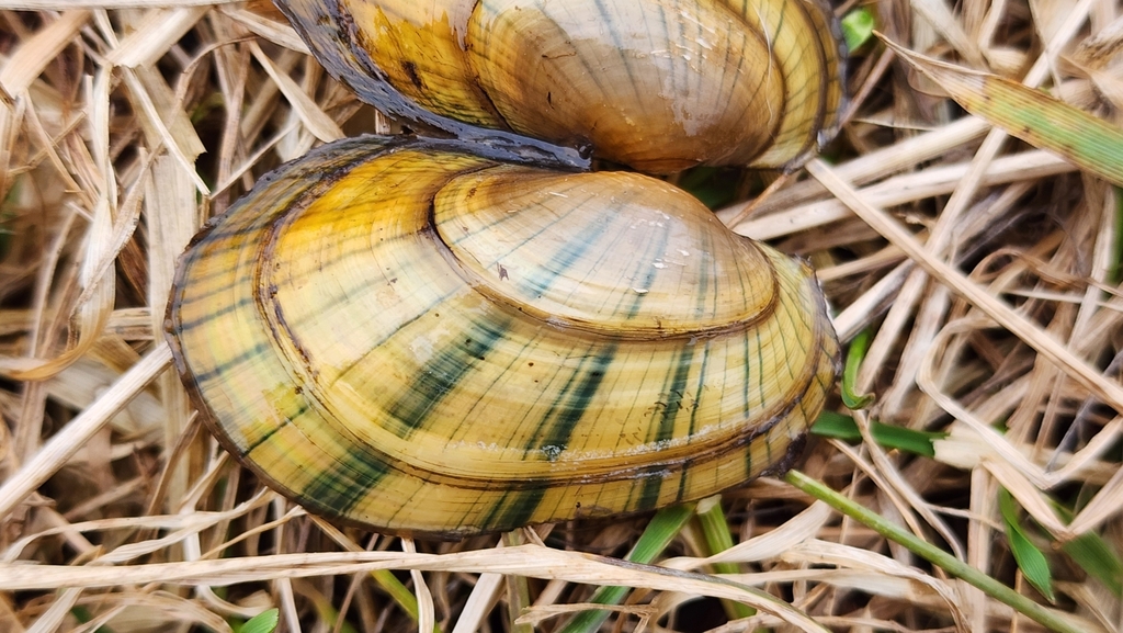 Fatmucket from Bruce, CA-ON, CA on March 17, 2024 at 04:57 PM by Jenna ...