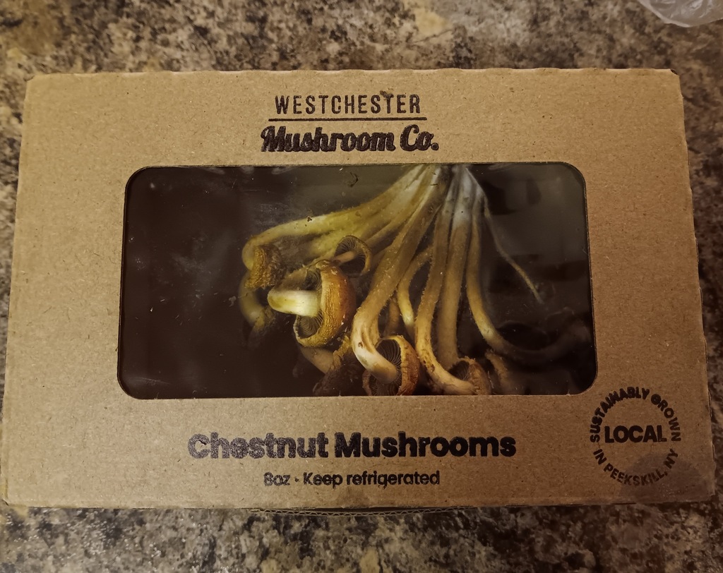 Golden Pholiota from Putnam County, NY, USA on March 10, 2024 at 03:56 ...