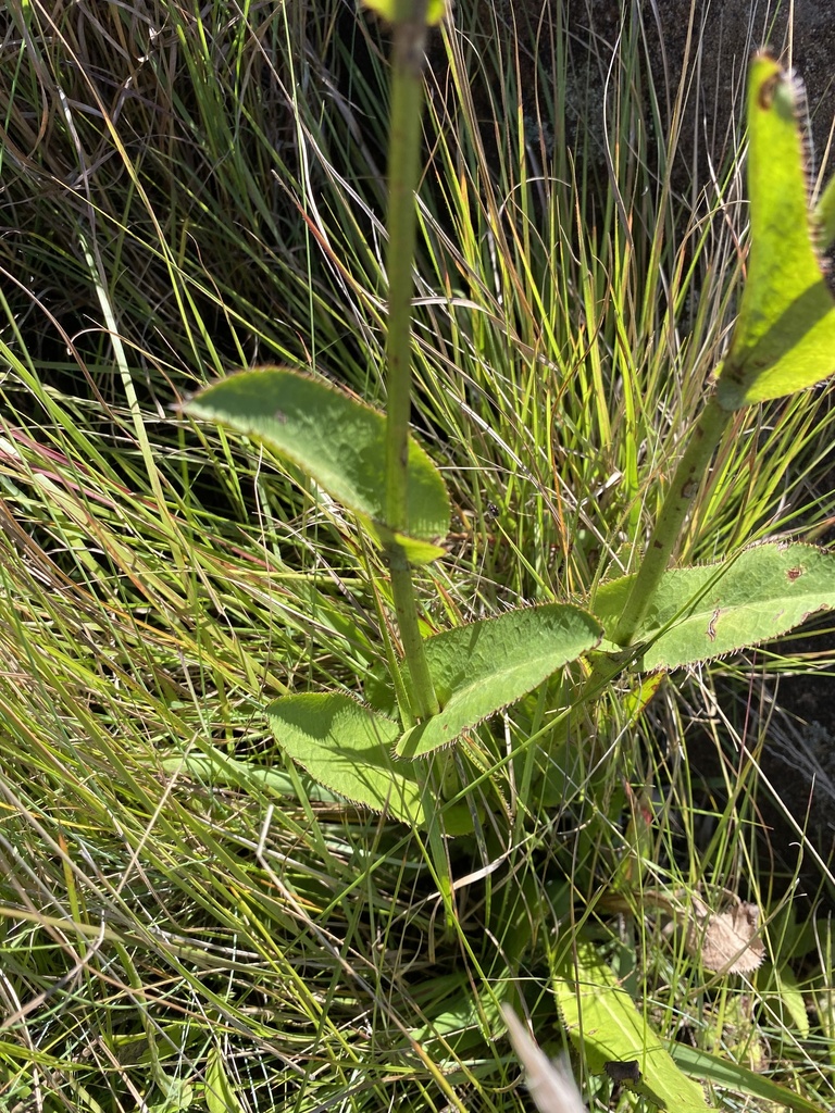 Woody Ministar from Impendle, Impendle, KZN, ZA on March 23, 2024 at 01 ...