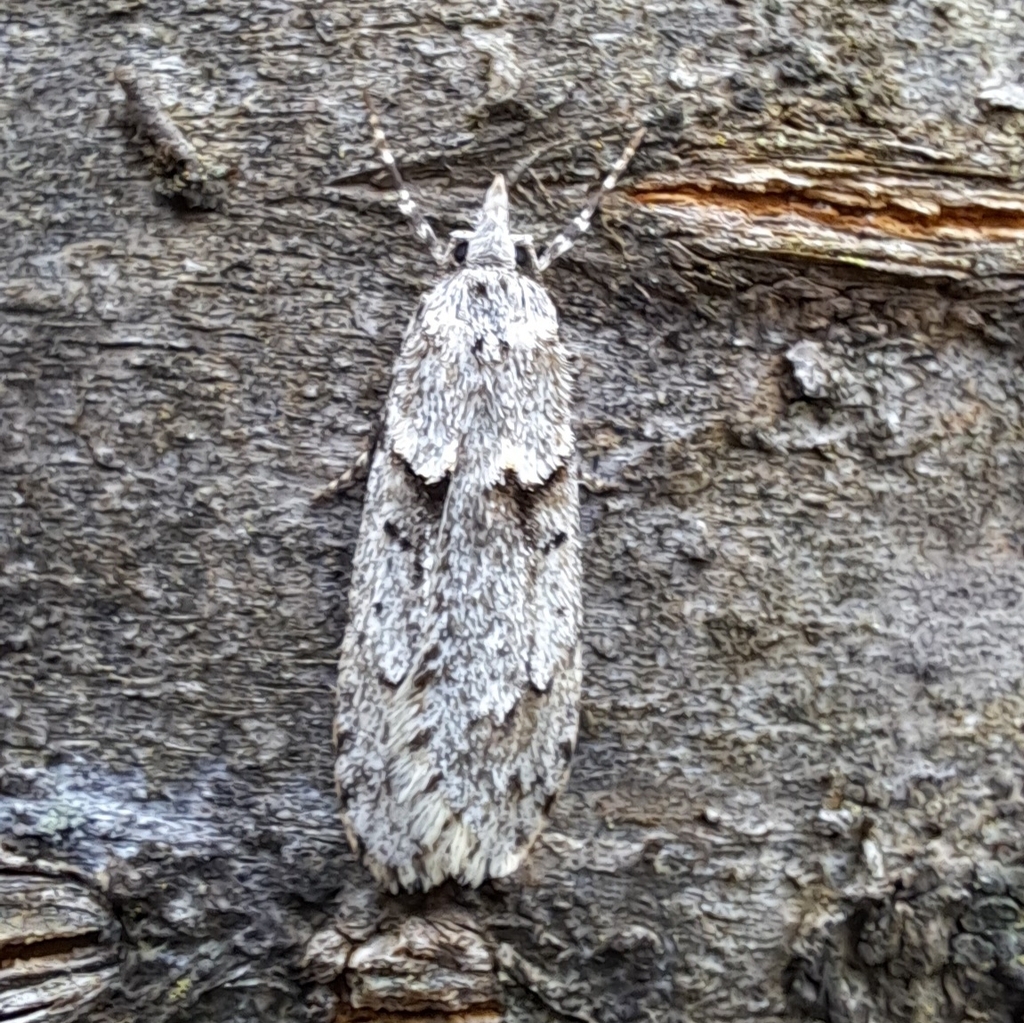 March Tubic from Wühn Abzw., Grafling, 94539 Grafling, Deutschland on ...