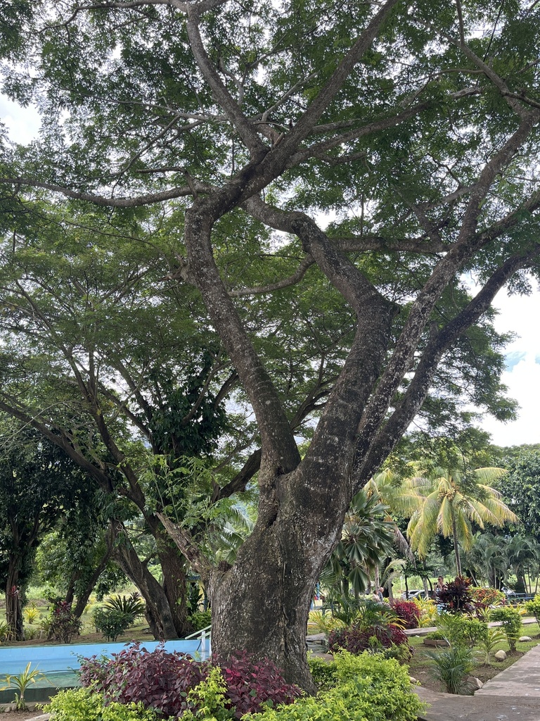 Something from Ba, FJ-W, FJ on April 3, 2024 at 01:42 PM by KW ...